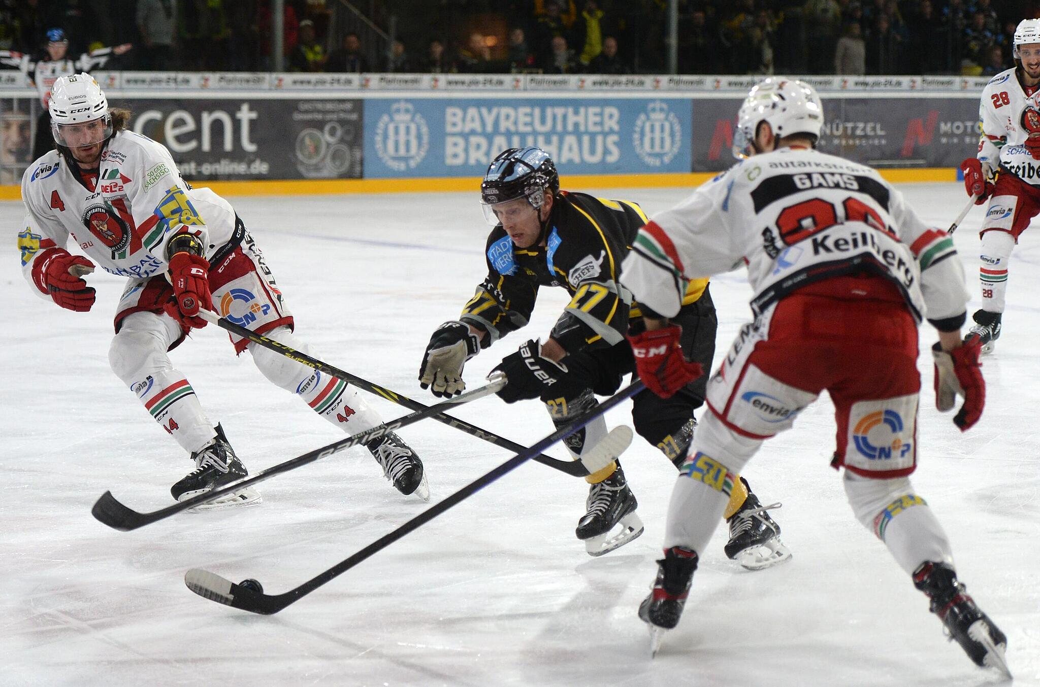 Eishockey: Die Bayreuther Tigers feiern in den Play-downs gegen ...