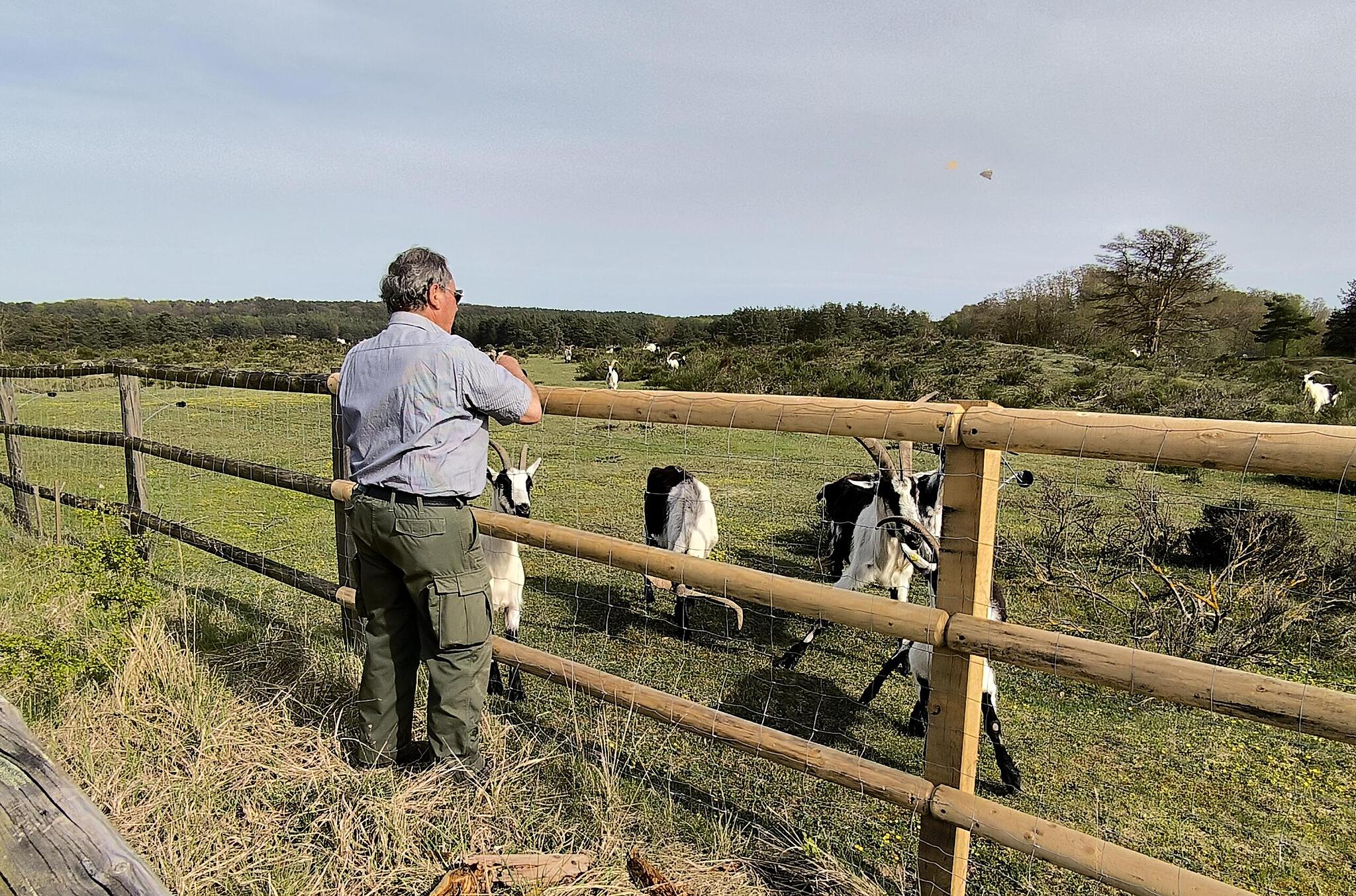 Eine Führung zeigt die Geschichte des Tennenloher Forst und dessen Natur