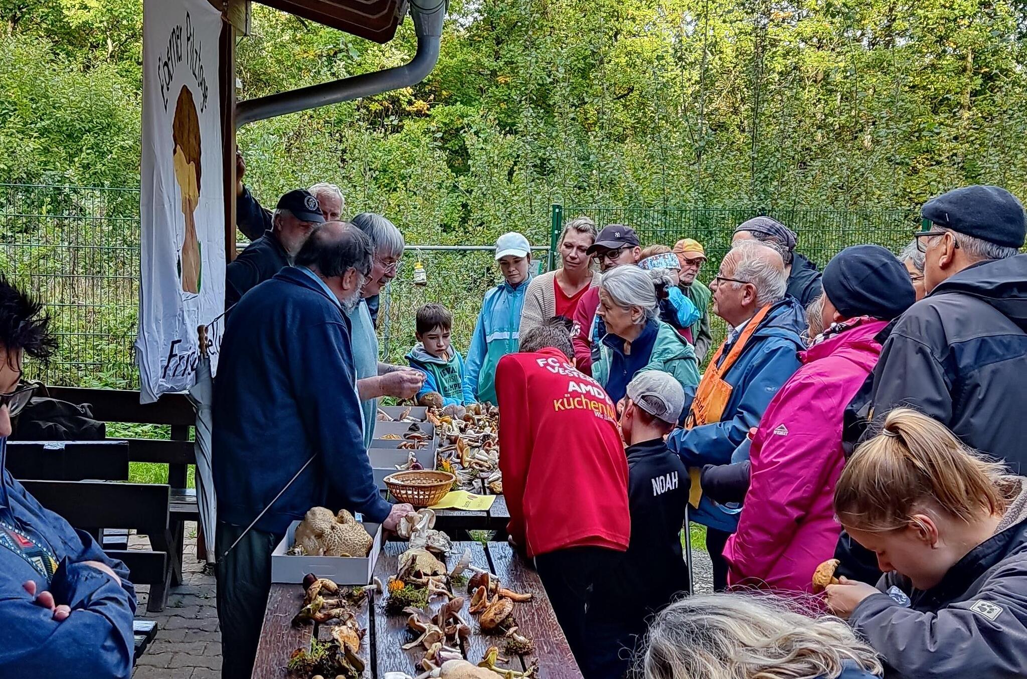 Wissen: Bund Naturschutz Ebern informiert über Eigenschaften von Pilzen