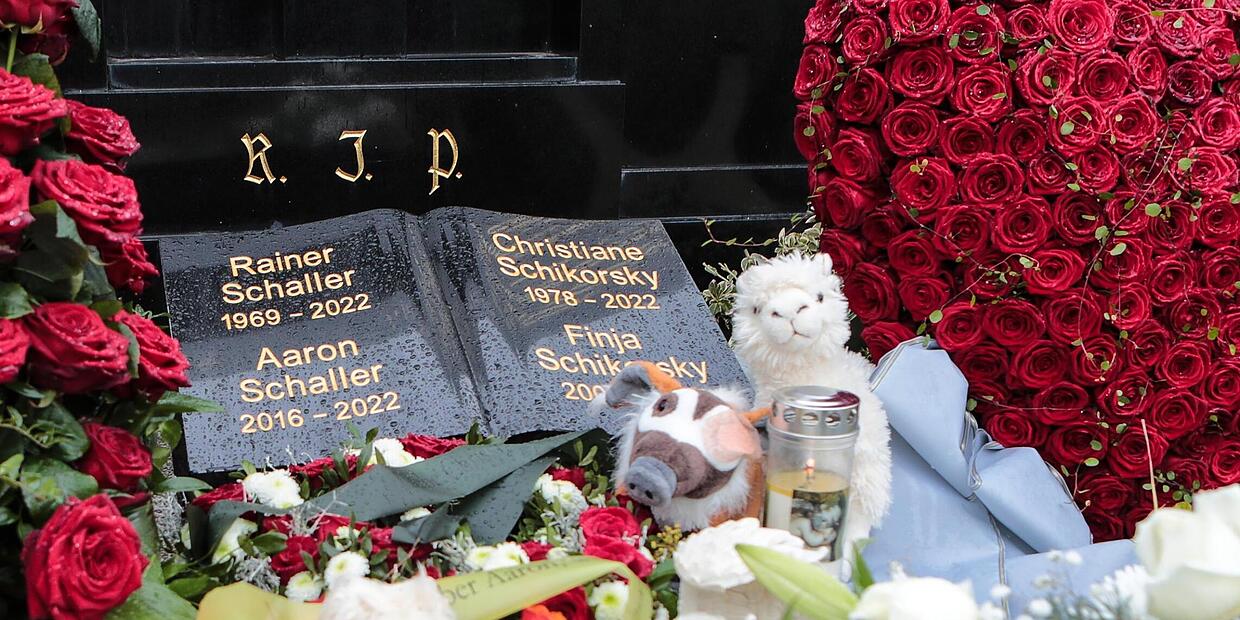 Nach Flugzeugabsturz: McFit-Grüner Rainer Schaller in Schlüsselfeld ...