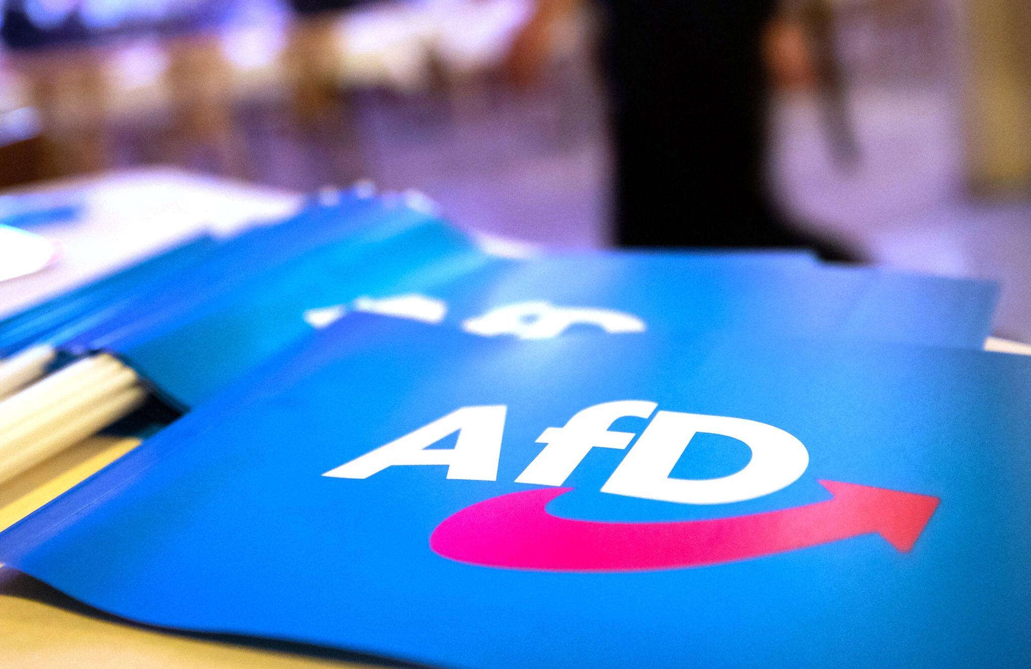 AfD-Abgeordnete zur Wahlbeobachtung: Kritik der Fraktion