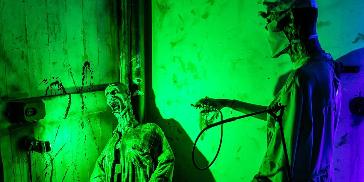 Kürbisse, Kostüme und Kuriositäten: 4 gruselige Halloween-Partys im ...