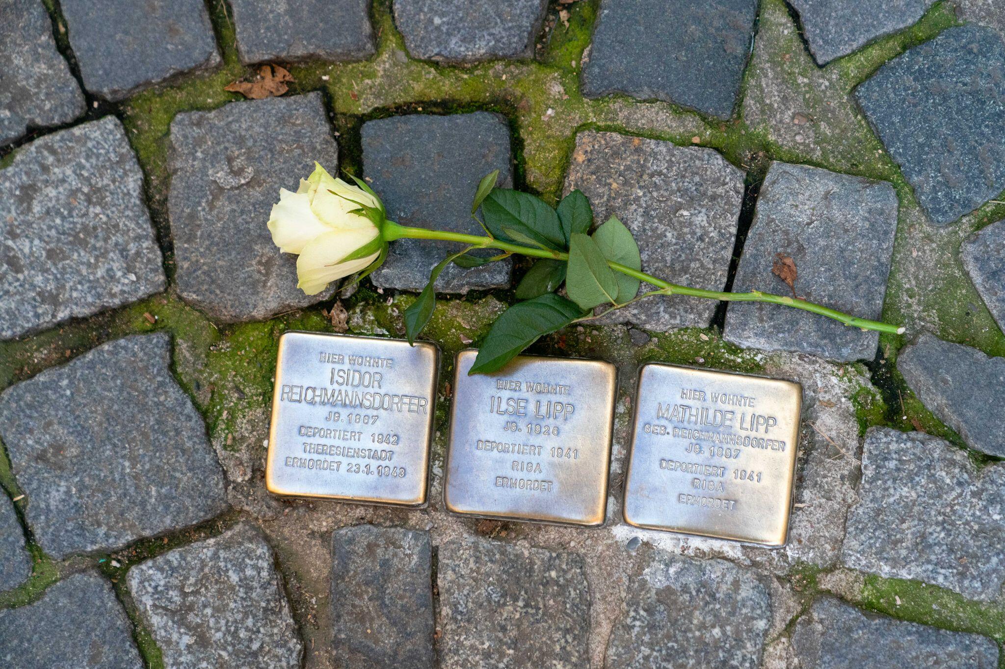 696 Stolpersteine erinnern in Würzburg an die Nazi-Diktatur