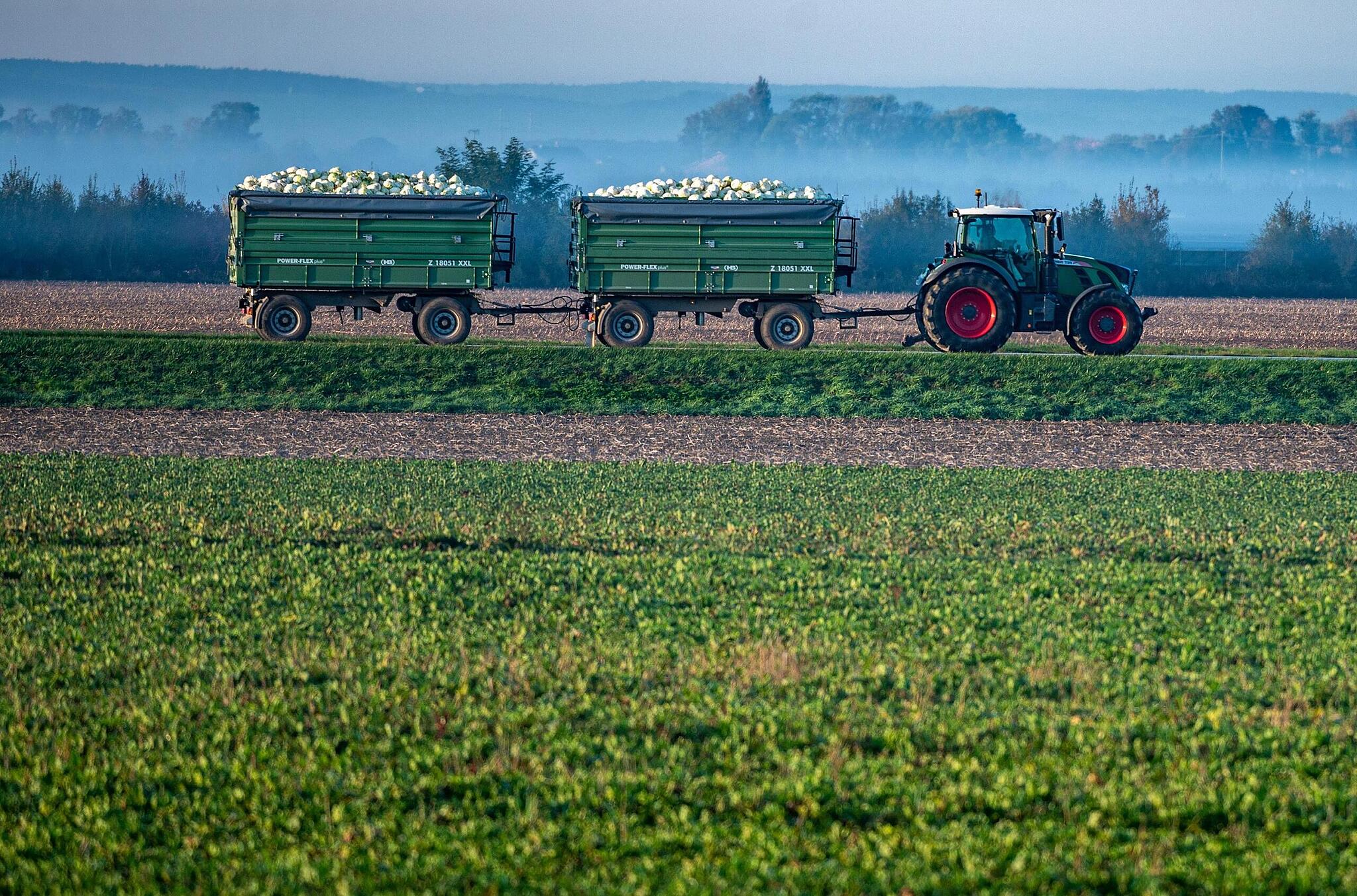 Verband für landwirtschaftliche Fachbildung in Kulmbach feiert 100-jähriges Bestehen