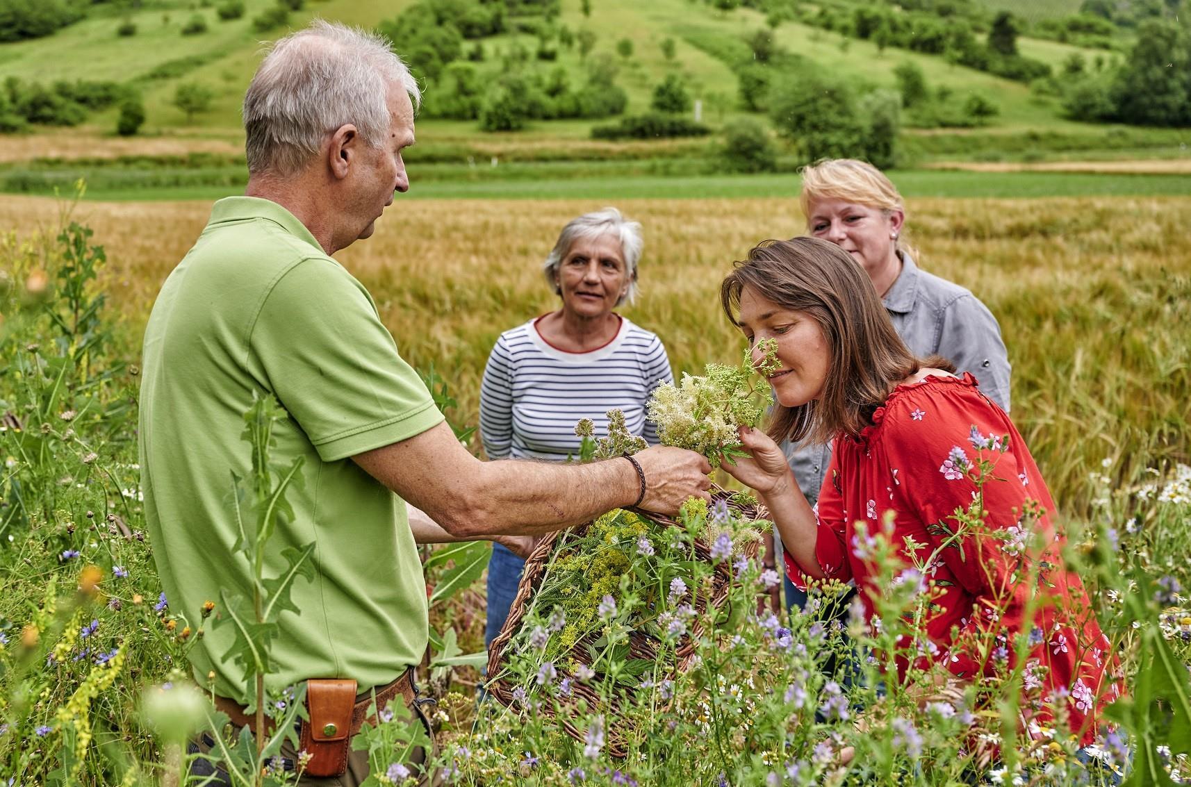 Biosphärenwochen in der Rhön: Tipps für die Wandersaison mit und ohne ...