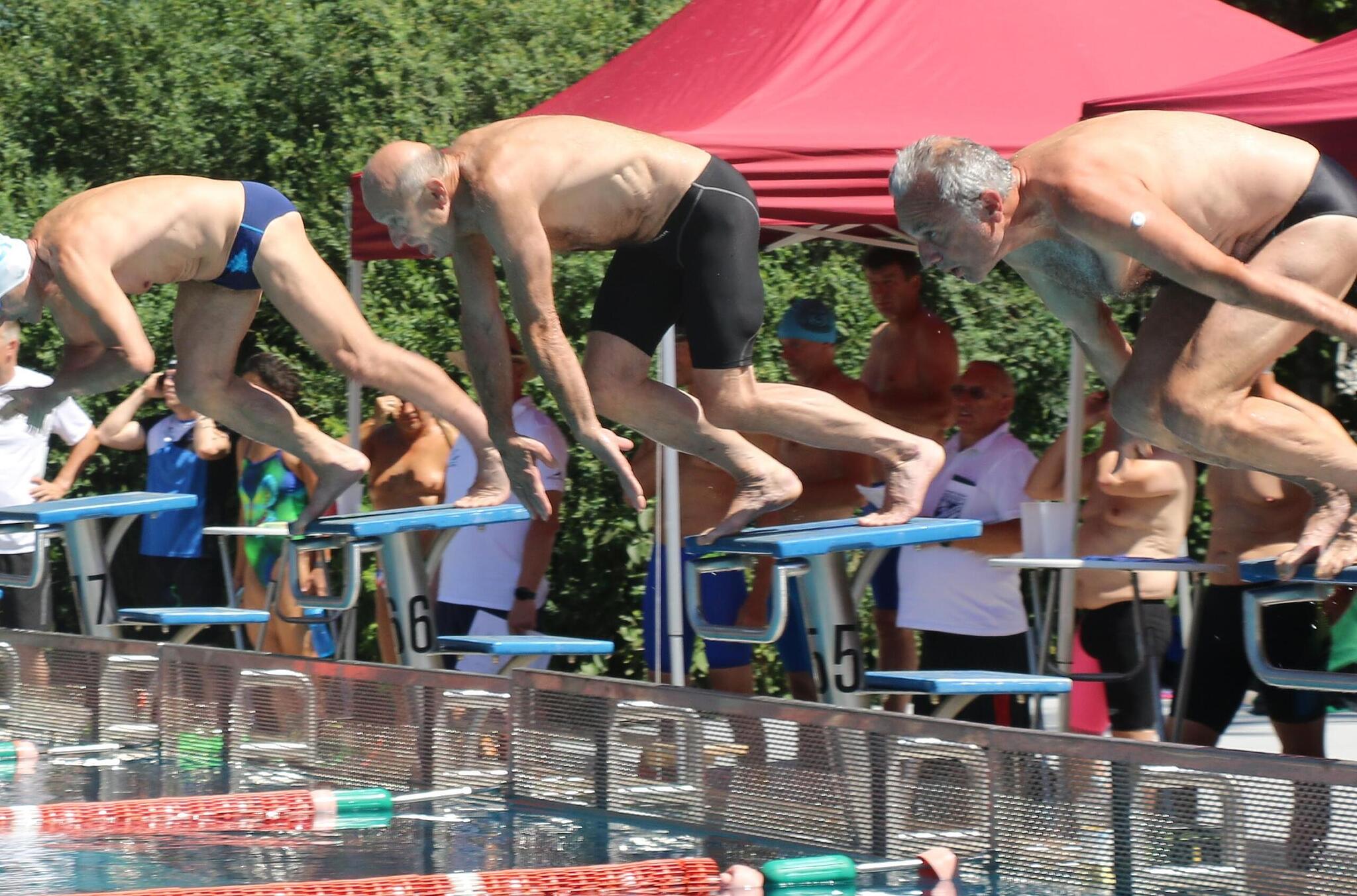 Schwimmen: Der ATS Kulmbach sahnt bei der Bayerischen Meisterschaft der ...